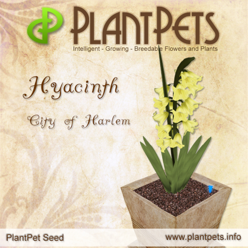 Second Life Marketplace - PlantPet Seed [Hyacinth *City of Harlem*], common / Trusted Breeder of PP
